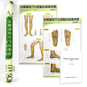 足腿部经穴与反射区标准挂图  足腿部反射区足底按摩穴位图挂图健康疗法 人体经络穴位图海报图