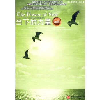 当下的力量(新版)【正版图书】
