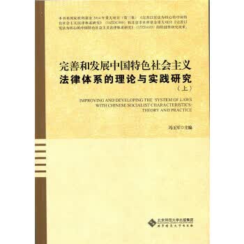 完善和发展中国特色社会主义法律体系的理论与实践研究(上下册) 冯玉军 9787303160112 北