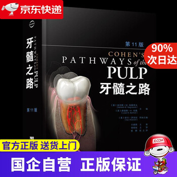 【新华书店官方网店】牙髓之路 1版