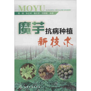 魔芋抗病种植新技术