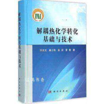 解耦热化学转化基础与技术 许光文，高士秋，余剑，曾玺著 科学出版社