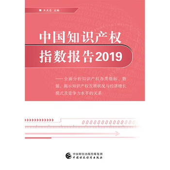 中国知识产权指数报告2019