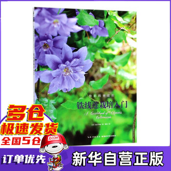 铁线莲栽培入门