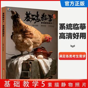 基础教学5素描静物照片 2022烈公文化潘明森陈树仲潘明森基础训练长期考题石膏陶罐果蔬器皿杂物照片对画写生素材美术高考