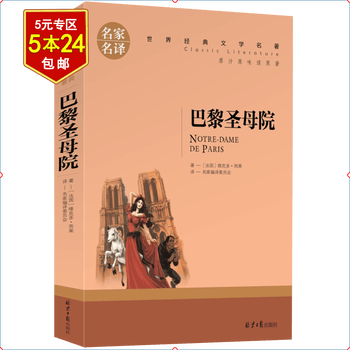 中小学课外读物名家名译世界经典文学名著（原汁原味读原著） 巴黎圣母院（定价13.8）