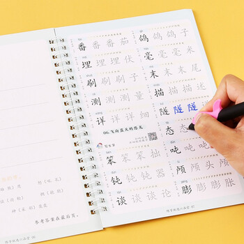 小学生字帖一年级二年级三上册下册同步语文人教版课本练习笔画笔顺凹槽儿童楷书初学者每日一练写字本练字帖 四年级下册字帖（2本）