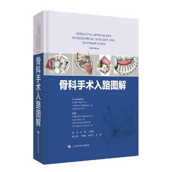骨科手术入路图解