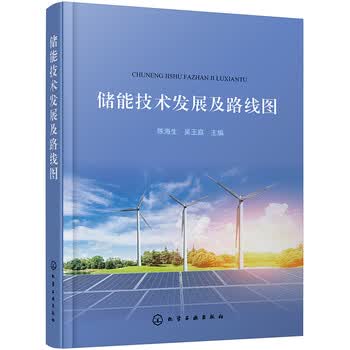 正版储能技术发展及路线图 化学工业出版社
