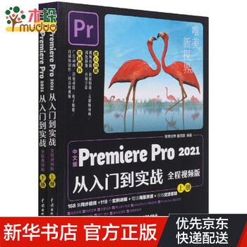中文版Premiere Pro2021从入门到实战(全程视频版上下)