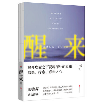 醒来:凡真实的，必会相遇