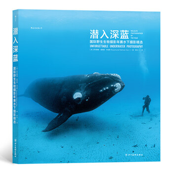 潜入深蓝：野生生物摄影年赛水下摄影精选