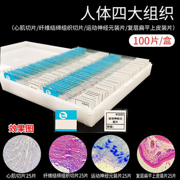 生物切片永久装片人血涂片人体四大组织字母e上字初高中神经装片 人体四大组织共100片盒