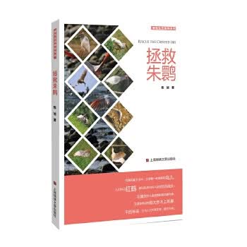 拯救朱鹮
