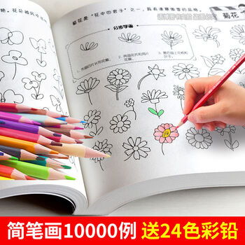 简笔画10000例大全幼儿幼师小学生儿童绘画画涂色入门教程书 简笔画 1万例/加厚款+24色彩铅