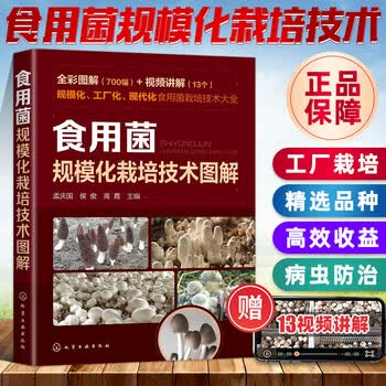 食用菌规模化栽培技术图解 孟庆国视频讲解工厂化现代化食用菌栽培技术大全书籍羊肚菌鸡腿菇大球盖菇双孢菇