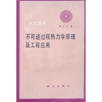 不可逆过程热力学原理及工程应用 杨东华著 科学出版社