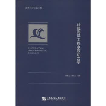 计算海洋工程水波动力学