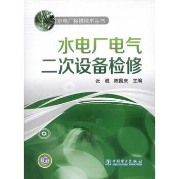 水电厂电气二次设备检修