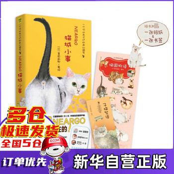 猫城小事