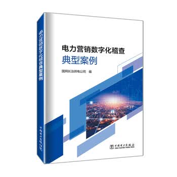 电力营销数字化稽查典型案例
