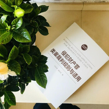 正版  2022新书 侵犯财产罪类案裁判规则与适用 刘树德 聂昭伟 著 法裁判智慧丛书 北京大