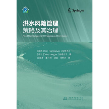 洪水风险管理策略及其治理/水安全系列丛书