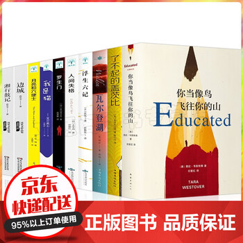 你当像鸟飞往你的山中文版 塔拉韦斯特弗比尔盖茨年度图书 获年度图书外国文学畅销小说 你当像鸟飞往你的山+了不起的盖茨比+边城10册
