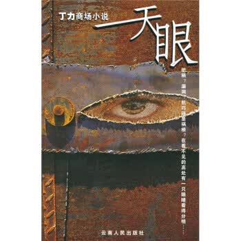 丁力商场小说天眼