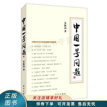 中国一号问题 宋振远