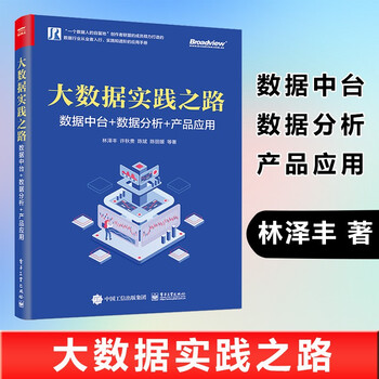 正版】大数据实践之路：数据中台+数据分析+产品应用(博文视点出品) 大数据实践之路