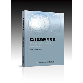 软计算原理与实现