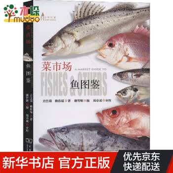 菜市场鱼图鉴/自然观察