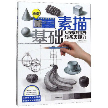 素描基础(从观察到提升线条表现力)