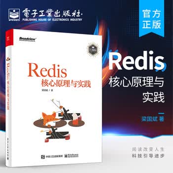 Redis核心原理与实践