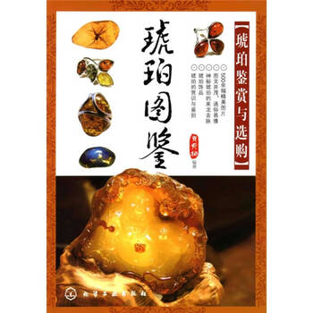 琥珀.珊瑚鉴定 肖秀梅