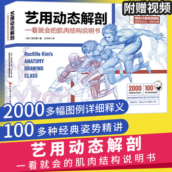 艺用动态解剖  一看就会的肌肉结构说明书 金乐熹 人体结构素描教程艺用人体解剖学漫画图解骨骼肌肉解