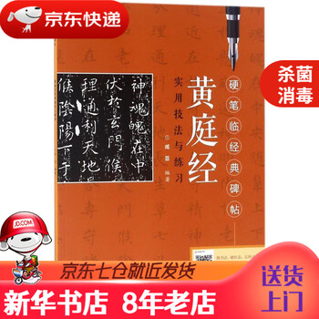 【新华书店 正版书籍】硬笔临经典碑帖：黄庭经实用技法与练习臧磊编著江西美术出版社 正版图书绘本