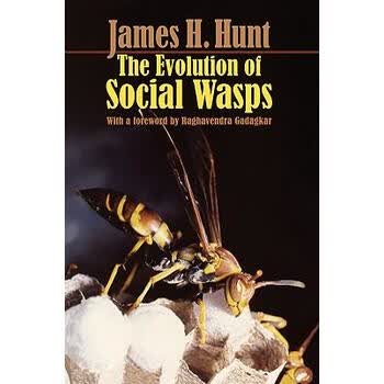 The Evolution of Social Wasps