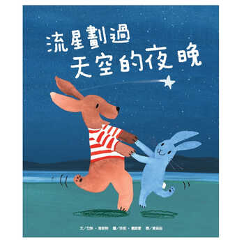 预售 艾咪-海斯特 流星划过天空的夜晚 维京
