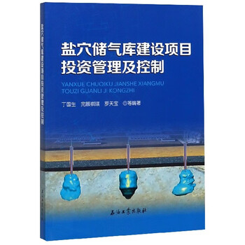 盐穴储气库建设项目投资管理及控制