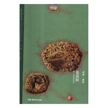 记忆·流星 徐晨阳 绘画 徐晨阳著 湖南美术出版社 9787535685810