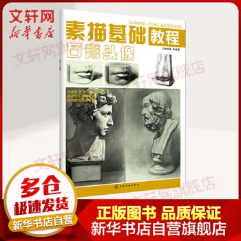 素描基础教程 石膏头像