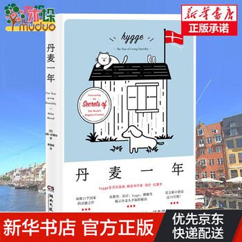 丹麦一年