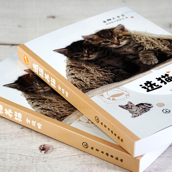 选猫养猫全攻略/宠物大本营