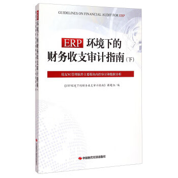 ERP环境下的财务收支审计指南【下