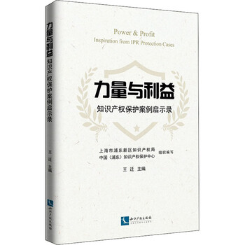 力量与利益 知识产权保护案例启示录