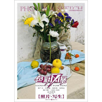 色彩风暴 照片 写生【正版图书】