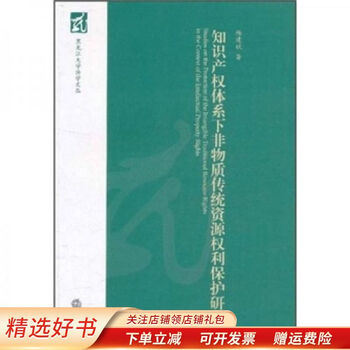 知识产权体系下非物质传统资源权利保护研究