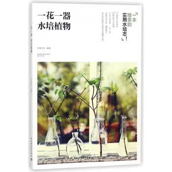 一花一器水培植物